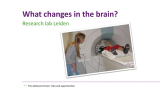 Keynote: The growing up of a brain - Eveline Crone | PPTX