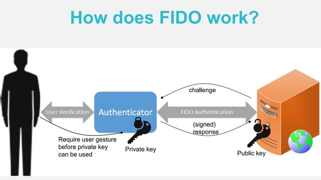FIDO UAF 1.0 Specs: Overview and Insights | PDF