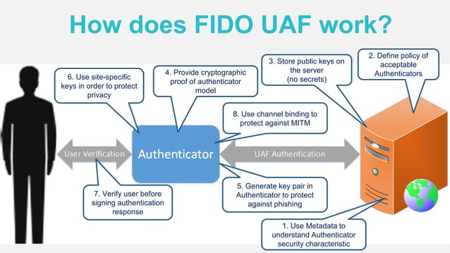 FIDO UAF 1.0 Specs: Overview and Insights | PDF