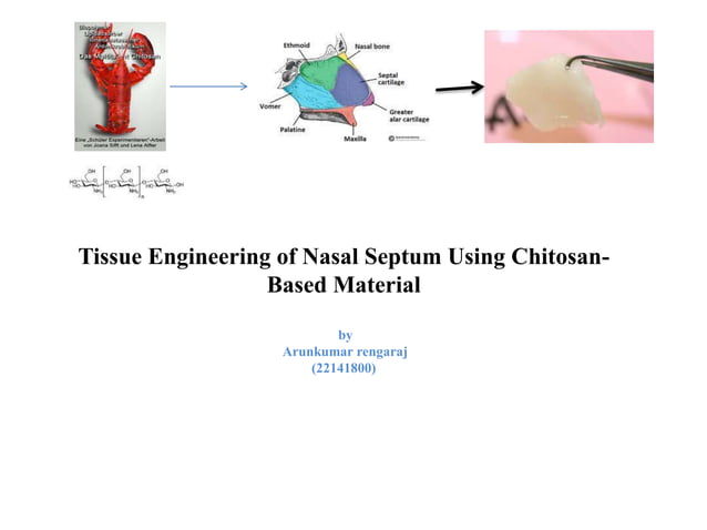Chitosan-hayluronic acid composite for tissue engineering | PPTX