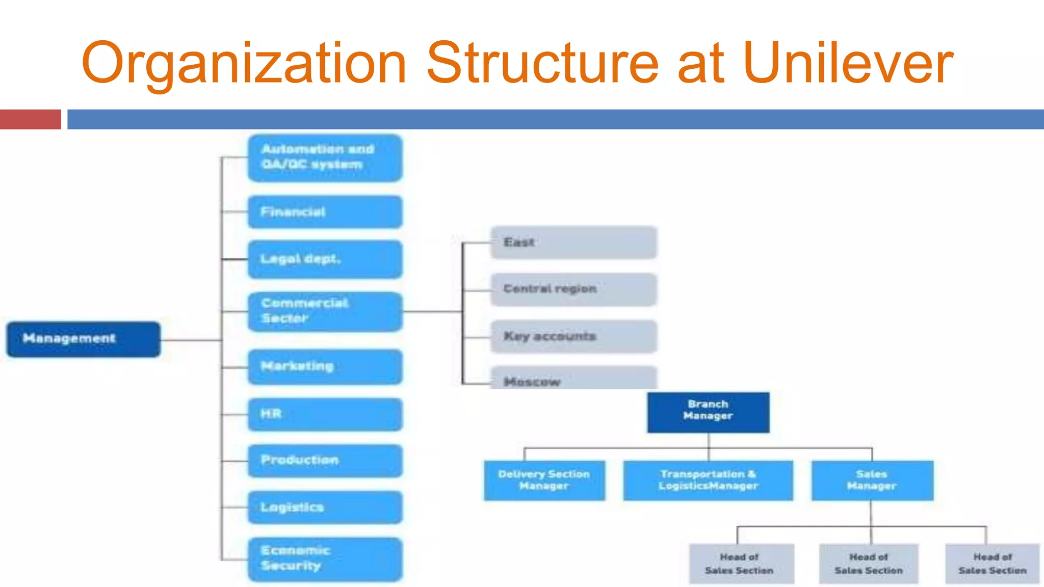 UNILEVER MANAGEMENT DEVELOPMENT AND JOB ANALYSIS & ORGANIZATION ...