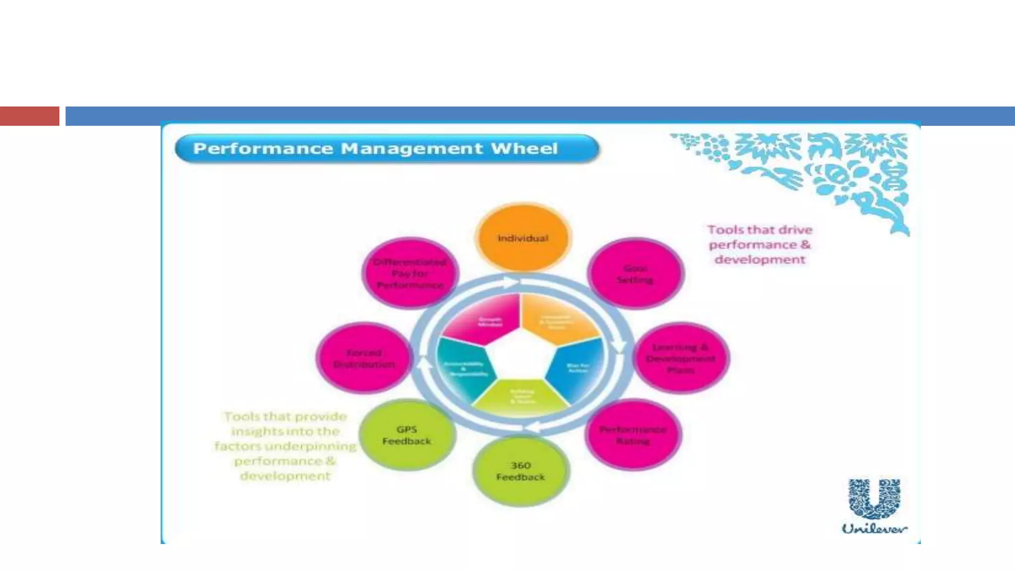 UNILEVER MANAGEMENT DEVELOPMENT AND JOB ANALYSIS & ORGANIZATION ...