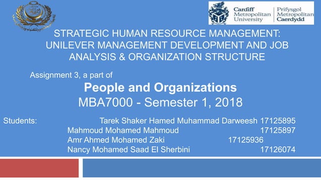 UNILEVER MANAGEMENT DEVELOPMENT AND JOB ANALYSIS & ORGANIZATION ...