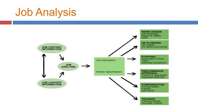 UNILEVER MANAGEMENT DEVELOPMENT AND JOB ANALYSIS & ORGANIZATION ...