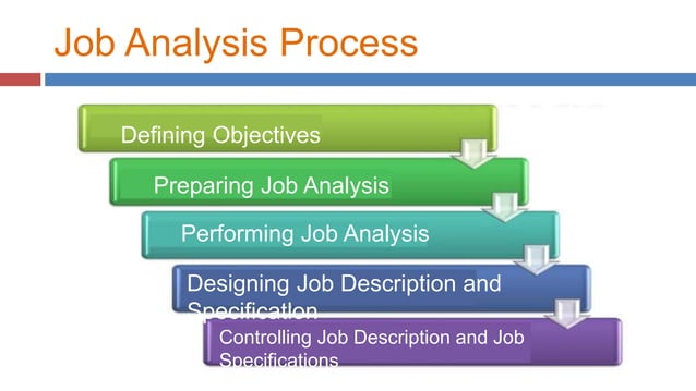 UNILEVER MANAGEMENT DEVELOPMENT AND JOB ANALYSIS & ORGANIZATION ...