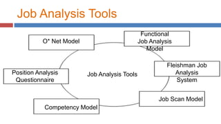 UNILEVER MANAGEMENT DEVELOPMENT AND JOB ANALYSIS & ORGANIZATION ...