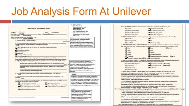 UNILEVER MANAGEMENT DEVELOPMENT AND JOB ANALYSIS & ORGANIZATION ...