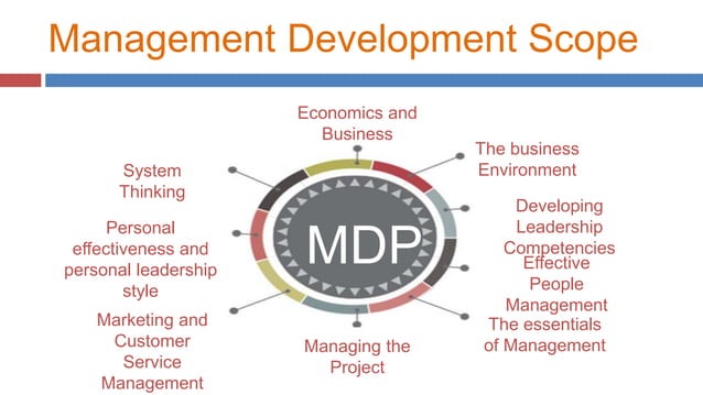 UNILEVER MANAGEMENT DEVELOPMENT AND JOB ANALYSIS & ORGANIZATION ...