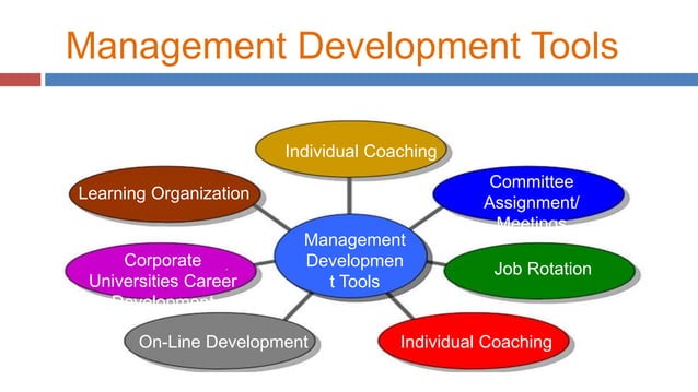 UNILEVER MANAGEMENT DEVELOPMENT AND JOB ANALYSIS & ORGANIZATION ...