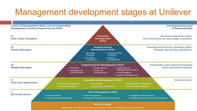 UNILEVER MANAGEMENT DEVELOPMENT AND JOB ANALYSIS & ORGANIZATION ...