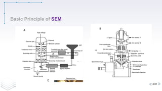 Presentation-final v.pptx | Chemistry | Science