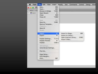 Presentation Adobe flash tutorial | PPT
