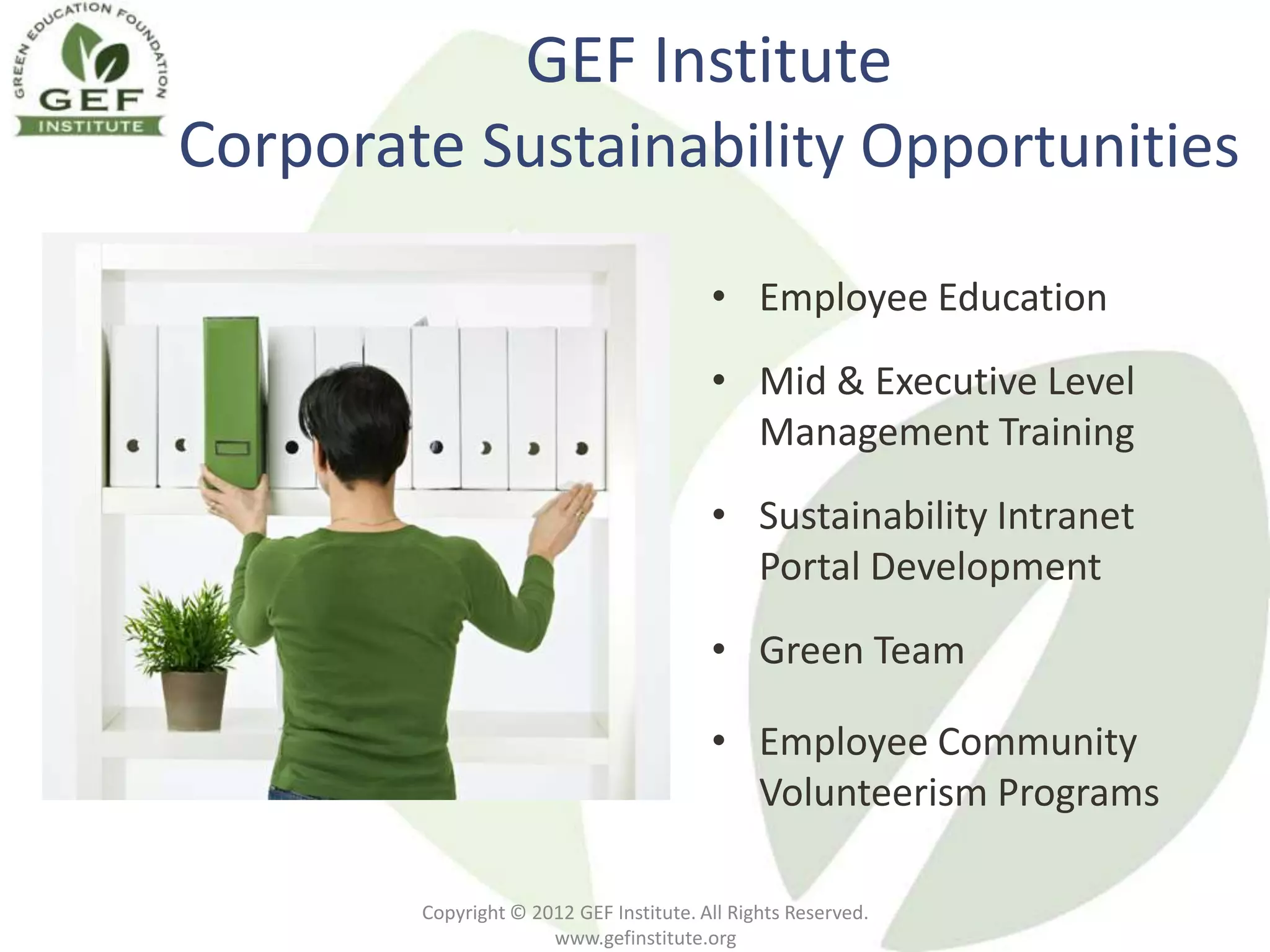 GEF Institute Sustainability Workforce Development | PPTX