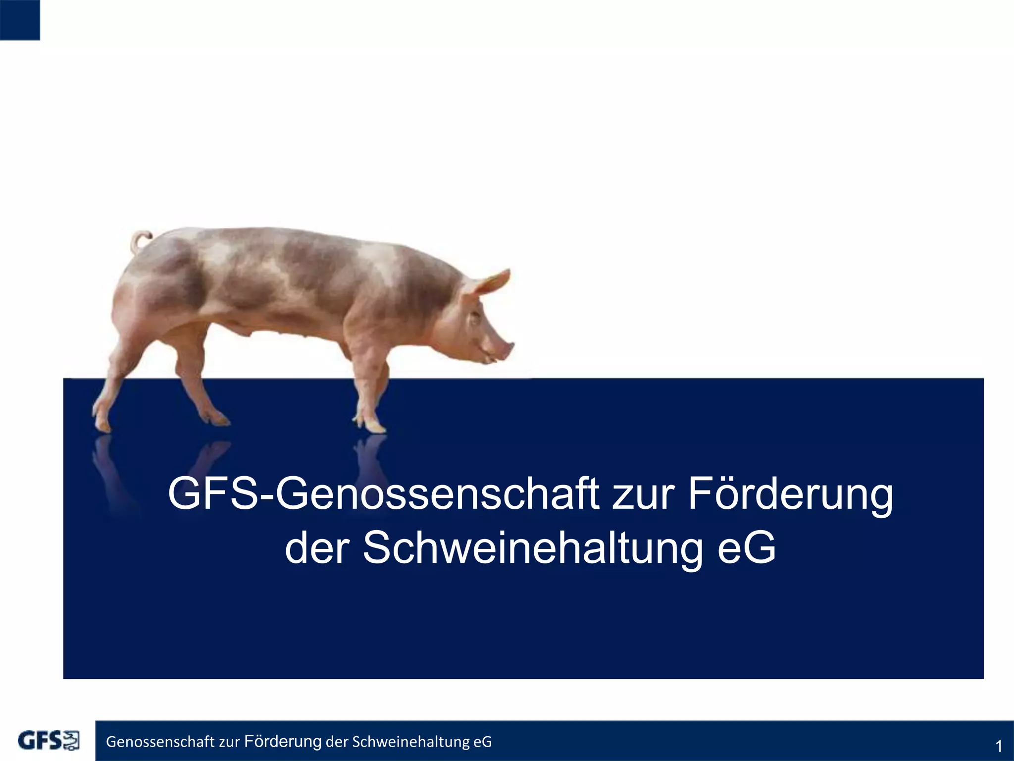Presentation gfs | PPT