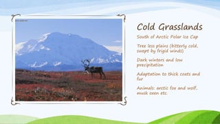 Grasslands (Types and Vegetation) | PPTX