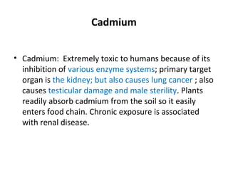 Textile processing toxicity and health hazard. Green Environment Ideas ...