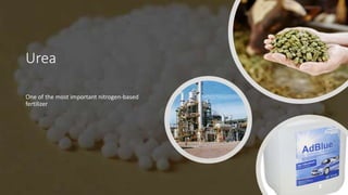 production of urea Presentation-Group 4.pptx