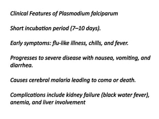 Comprehensive Overview of Malaria: Life Cycle, Species, Clinical ...