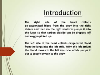 presentation-heart.pptx