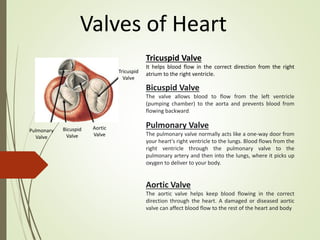 presentation-heart.pptx