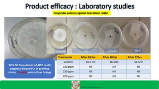 Bio fumigation - A potential tool for pre showing soil treatment | PDF