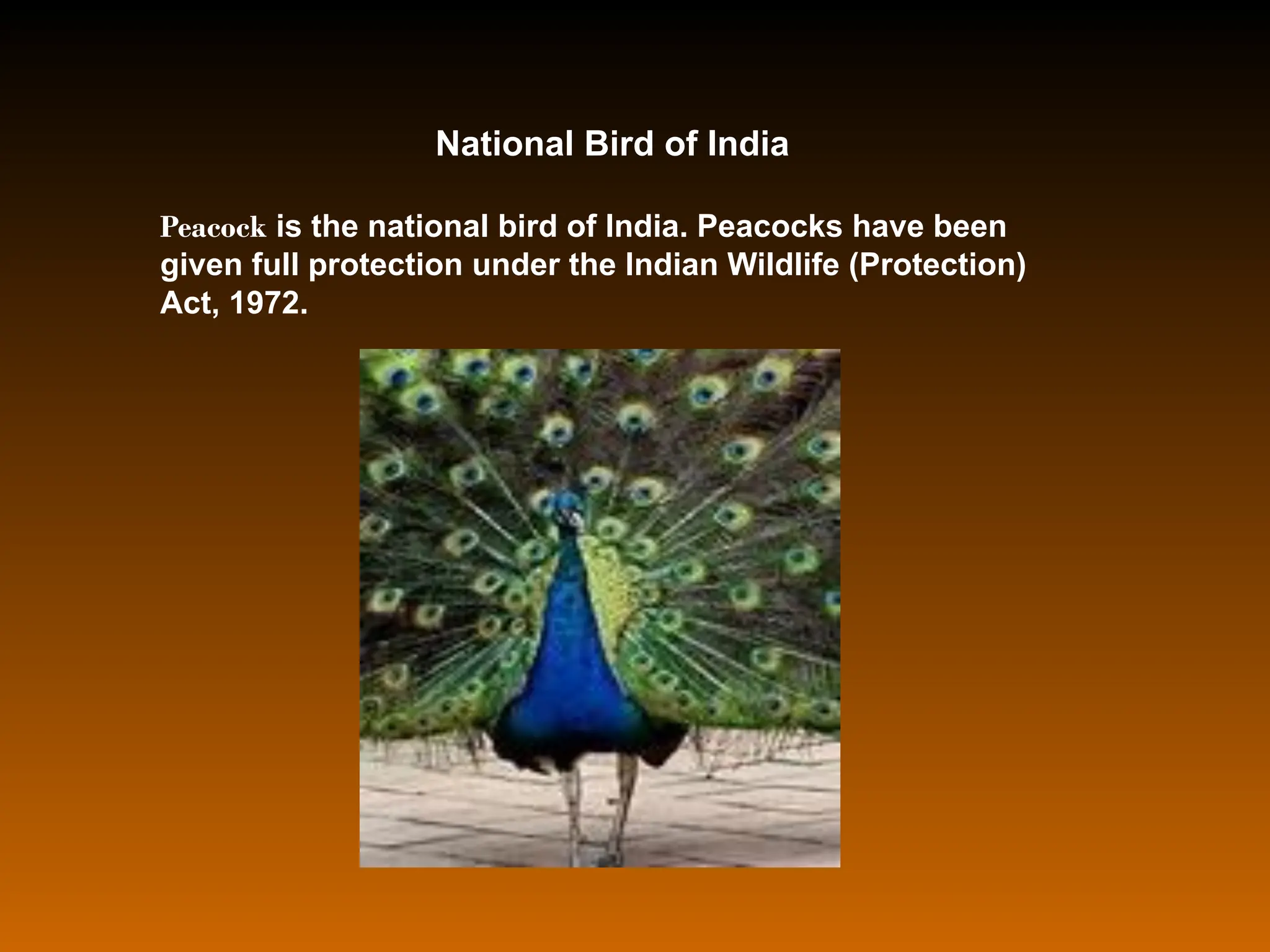 Presentation -INDIA.ppt.pdf for India country | PDF