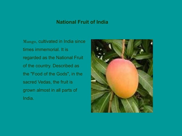 Presentation -INDIA.ppt.pdf for India country | PDF | Asia Travel | Travel Locations