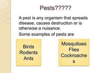 Integrated Pest Management (IPM) | PPTX | Agriculture | Industries