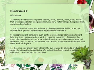 Presentation Jd Mb | PPT