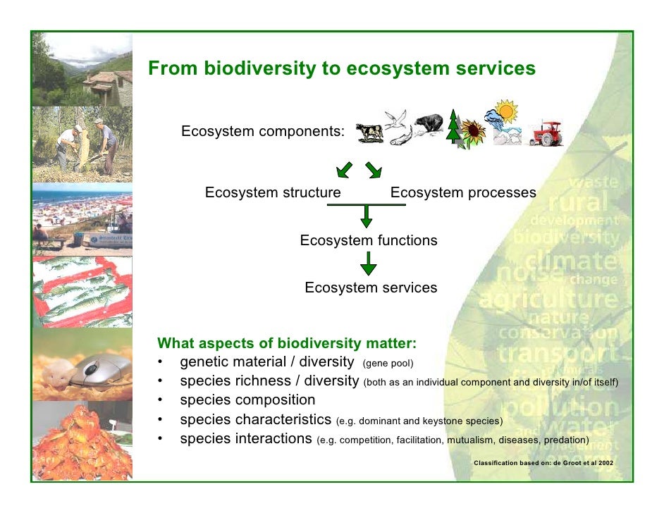 Presentation Kettunen & ten Brink of IEEP at Iddri May 07 On The Valu…