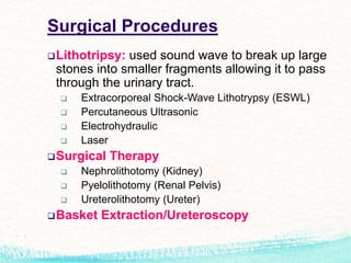 Presentation kidney-stone final | PPTX