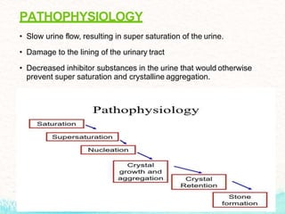presentation-kidney-stonefinal.pptx