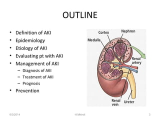 kidney injury-Hamisi Mkindi,Presentation | PPT