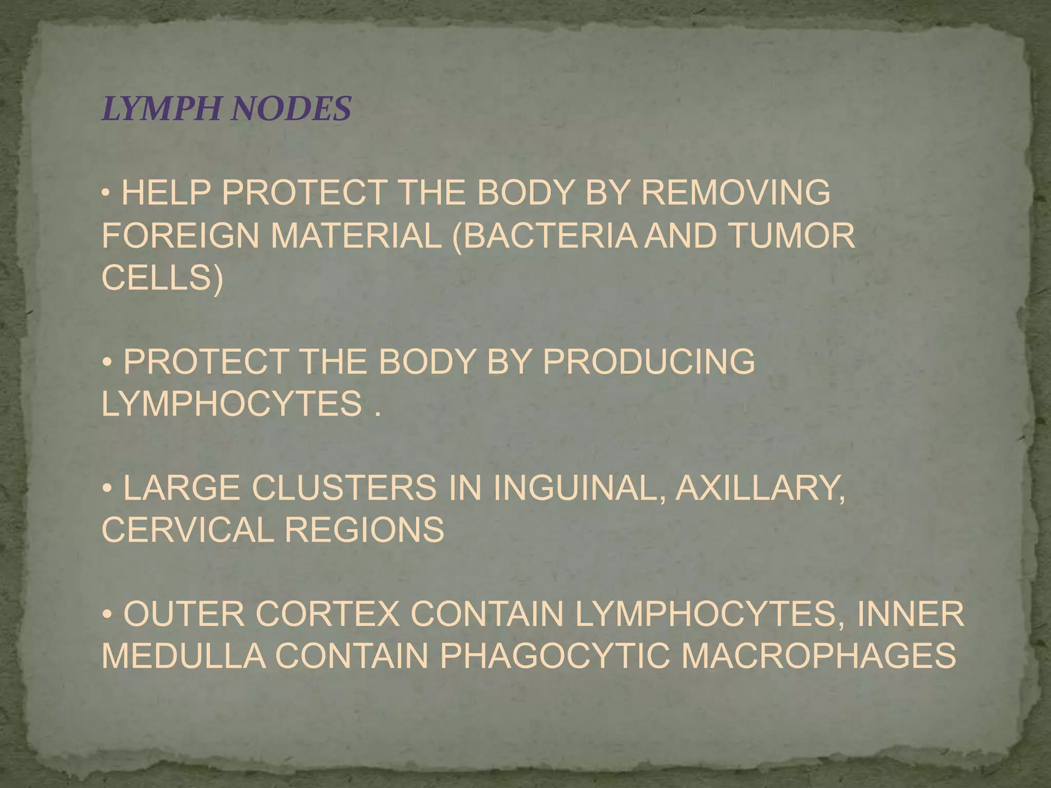 The Anatomy of Lymphatic System | PPTX
