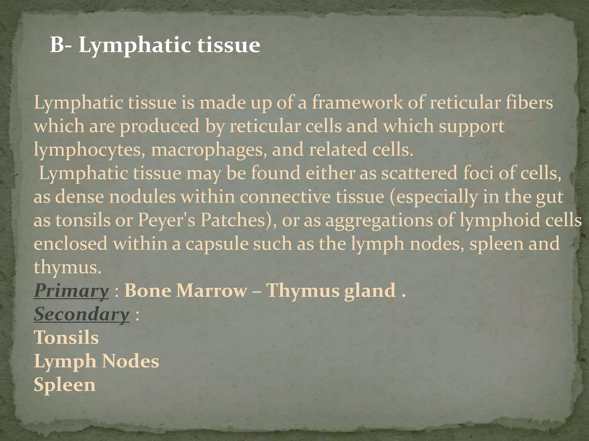 The Anatomy of Lymphatic System | PPTX