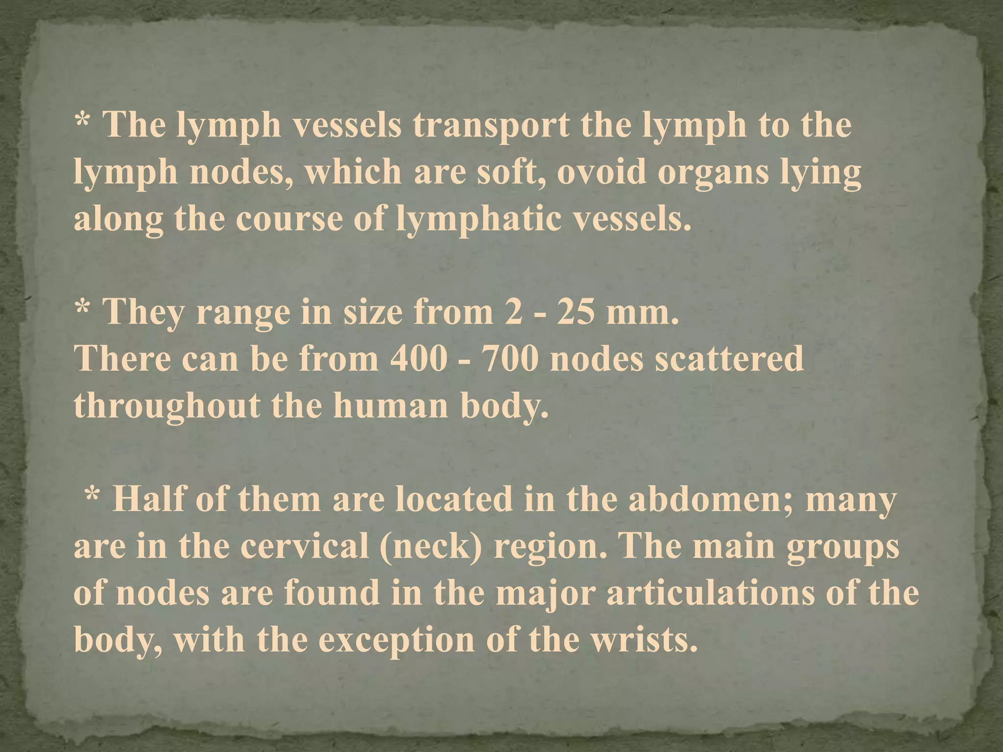 The Anatomy of Lymphatic System | PPTX