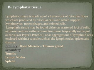 The Anatomy of Lymphatic System | PPT
