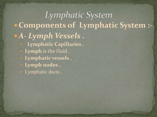 The Anatomy of Lymphatic System | PPT