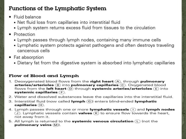 The Anatomy of Lymphatic System | PPT
