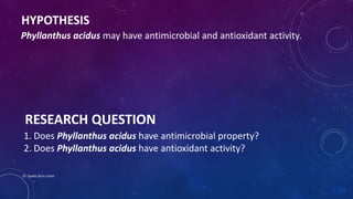 Antimicrobial and Atioxidant Property of Phyllanthus acidus Recognition ...