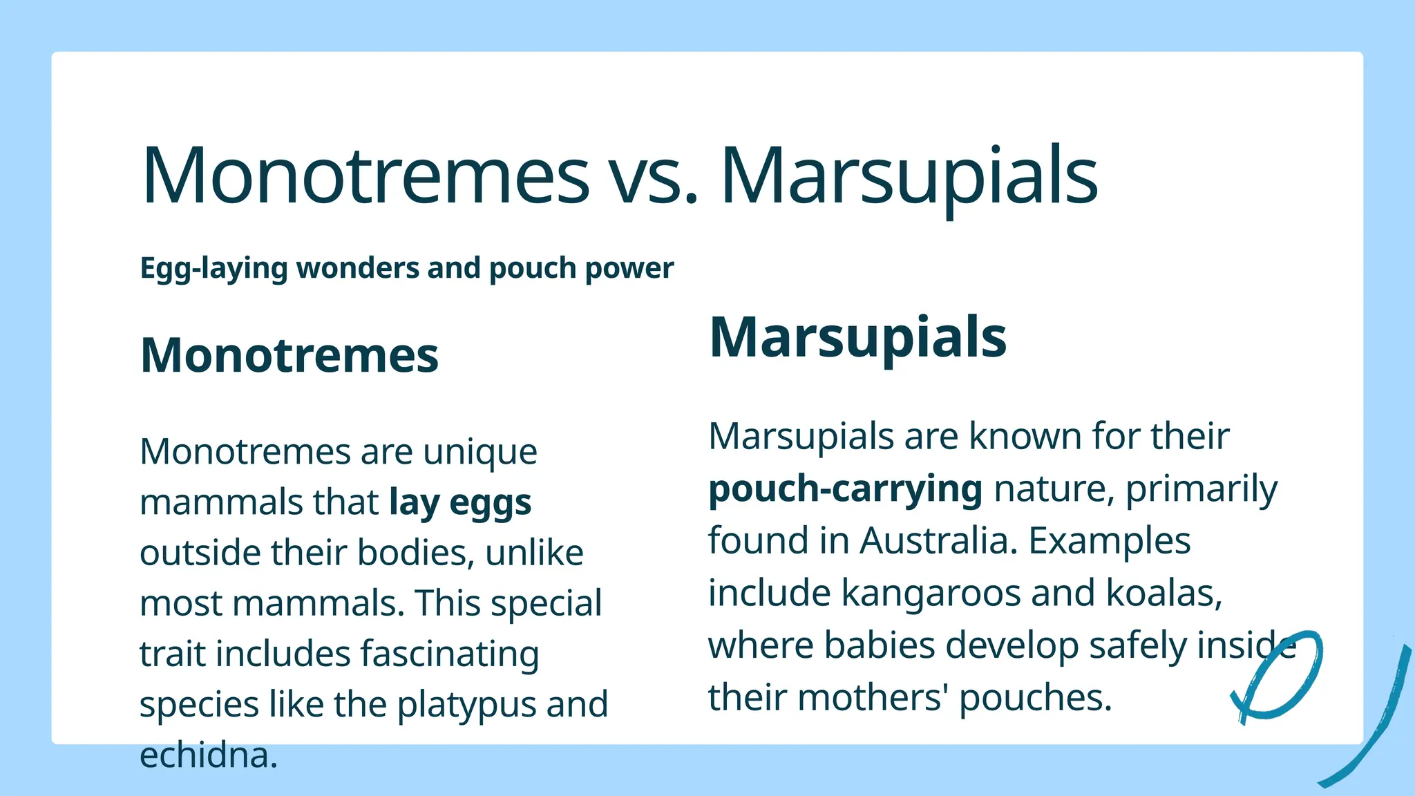 Mammals classification ppt, the types of reproduction | PPTX