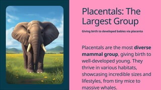 Mammals classification ppt, the types of reproduction | PPTX