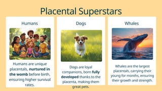 Mammals classification ppt, the types of reproduction | PPTX