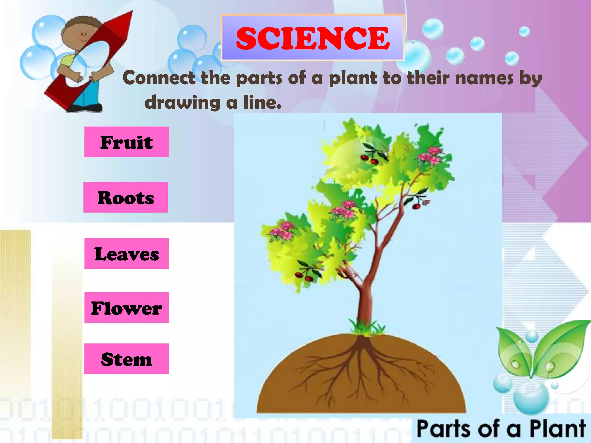 Presentation maria precious | PPT