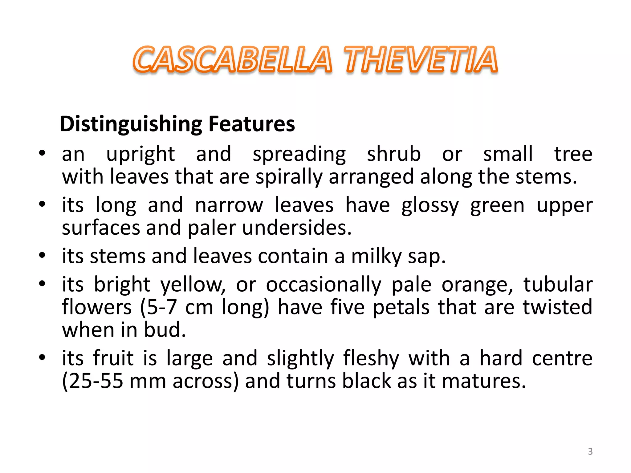 Presentation on Cascabella Thevetia and Allamanda Cathartica | PPTX