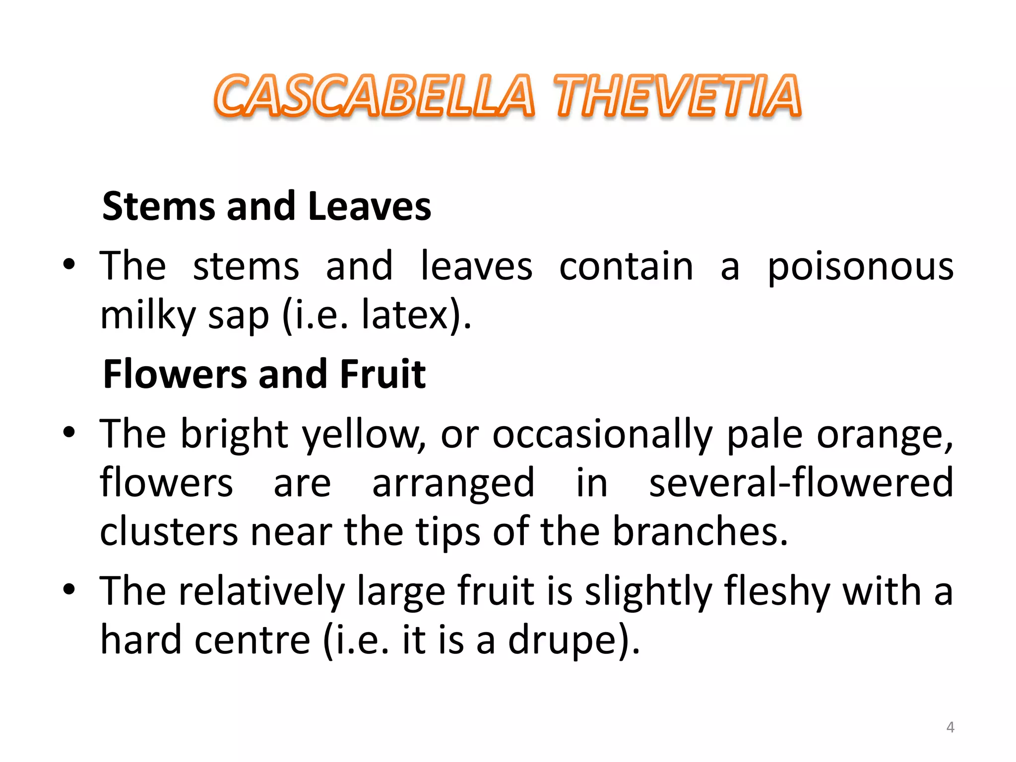 Presentation on Cascabella Thevetia and Allamanda Cathartica | PPTX
