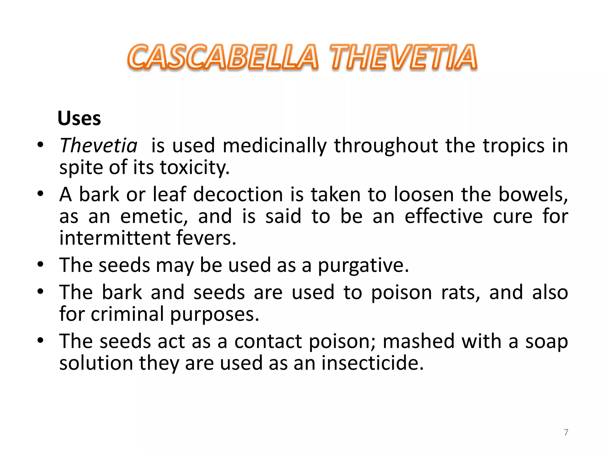 Presentation on Cascabella Thevetia and Allamanda Cathartica | PPTX