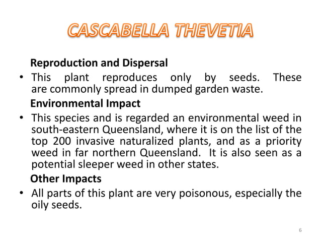 Presentation on Cascabella Thevetia and Allamanda Cathartica | PPTX