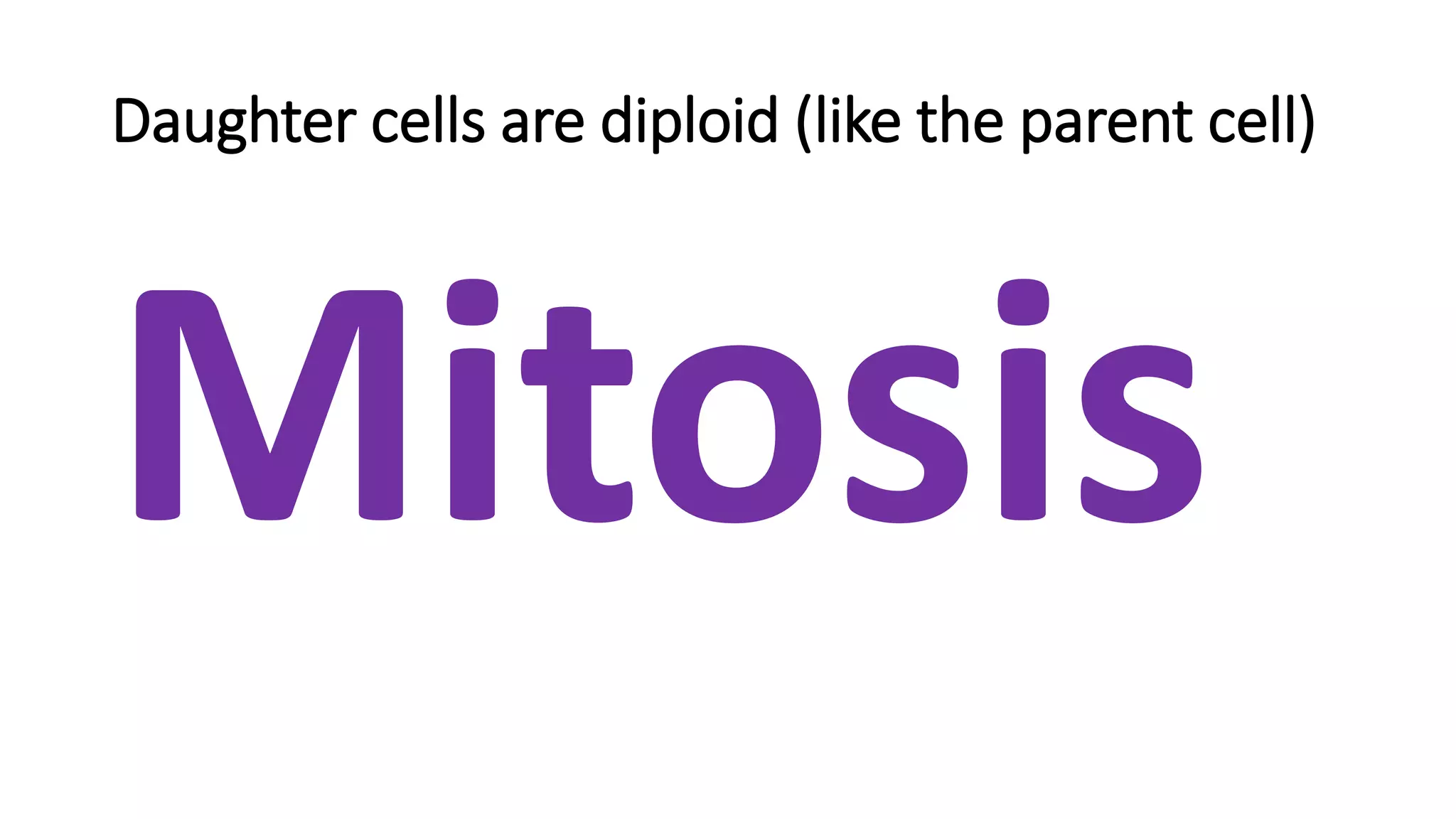Presentation - mitosis and meiosis NEW 2023 DA.pptx