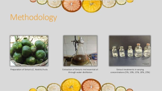 Presentation mosquito repellency potential of sinturis (citrus nobi…